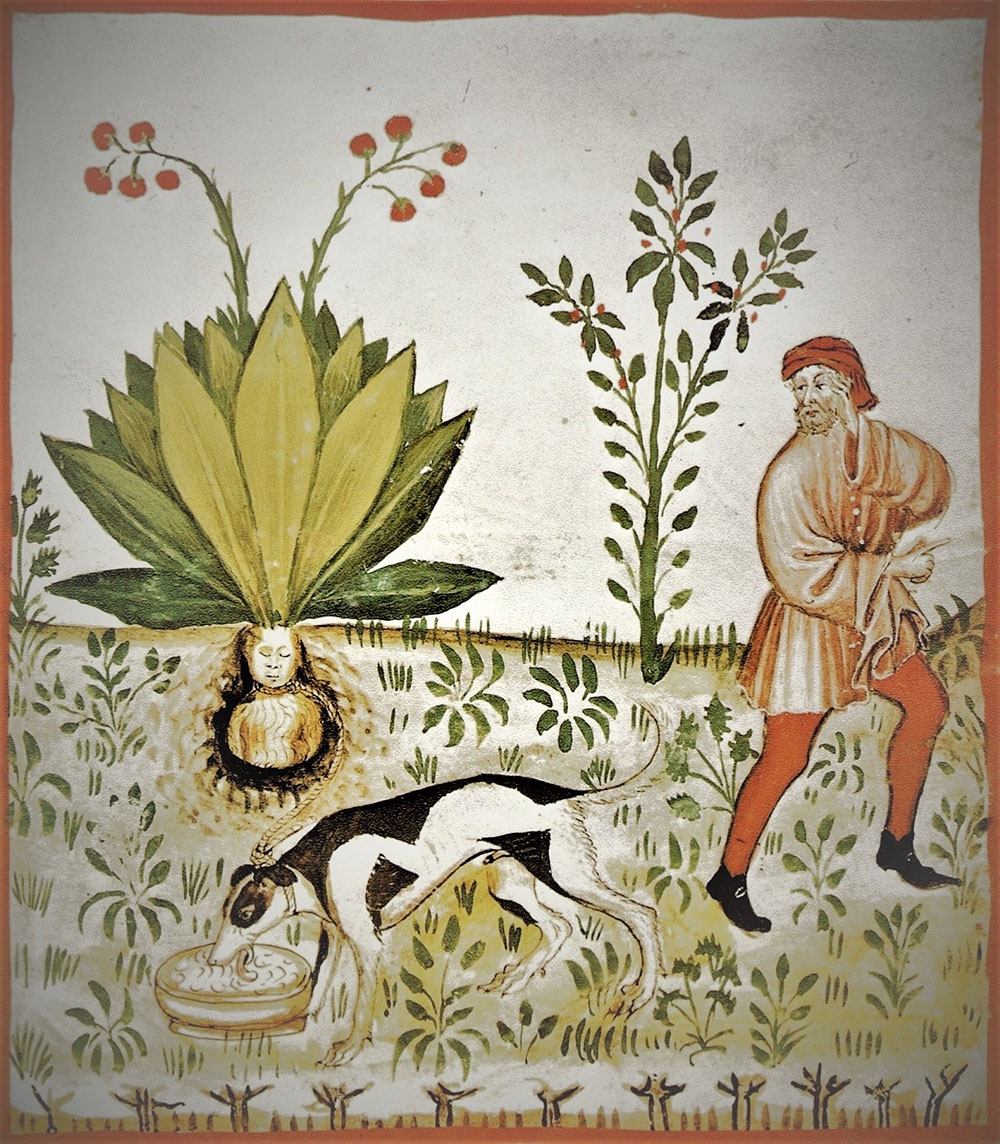 Call for Papers | Animals and the Environment in Ancient Mediterranean ...