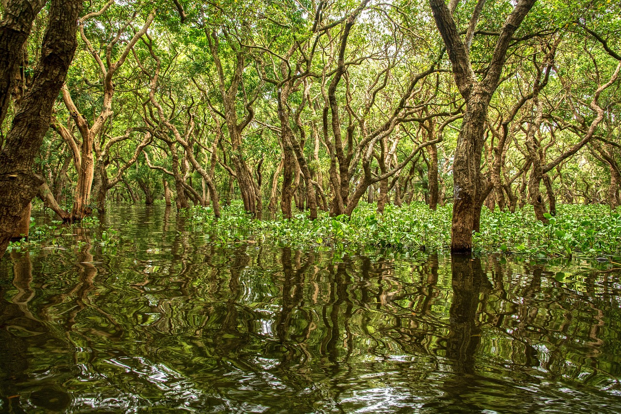 Les forêts littorales de la Martinique au Saladoïde moyen (400-750 n.è ...